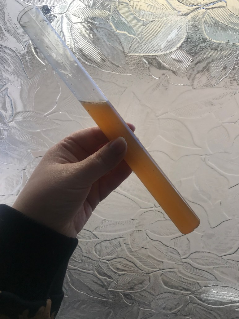 Medieval English Small Ale – braciatrix
